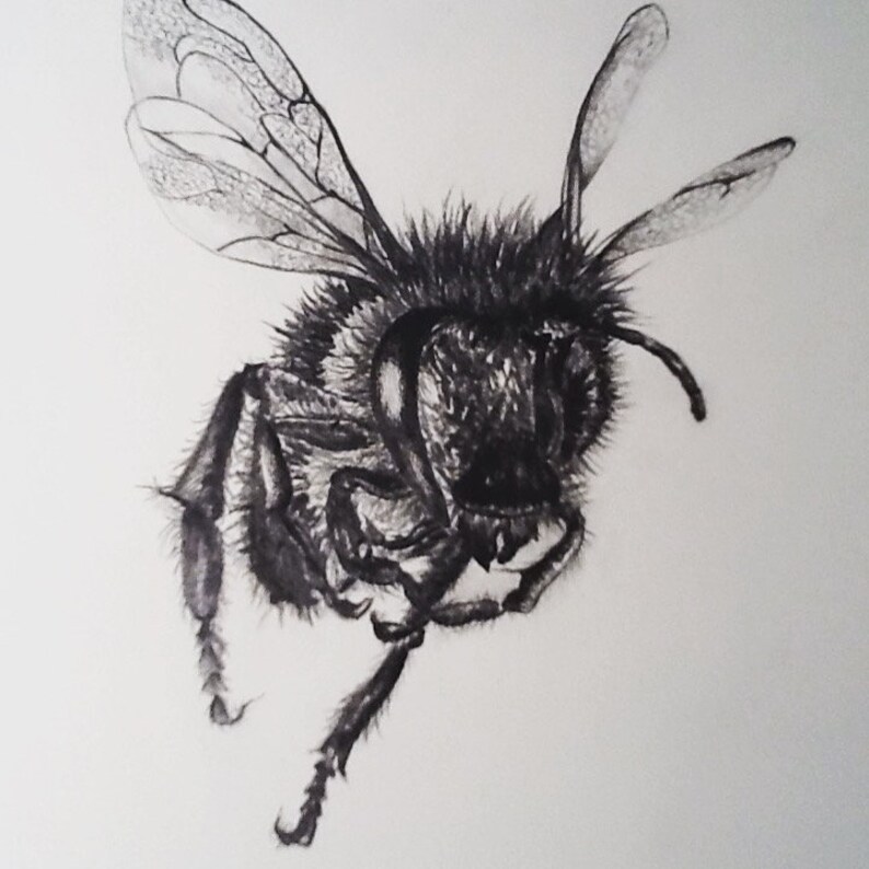Bee Ink Drawing, Print - Etsy