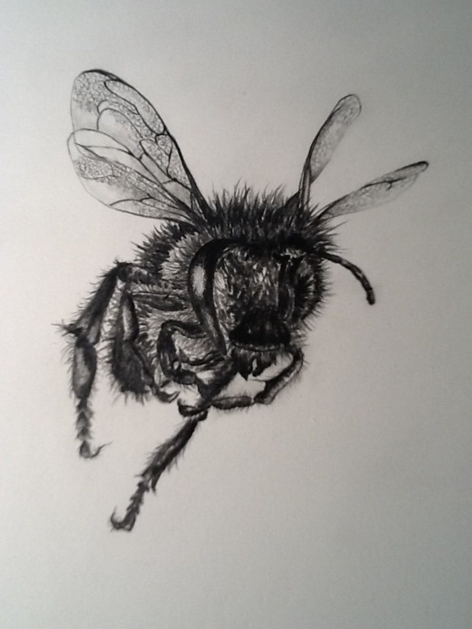 Bee Ink Drawing, Print - Etsy