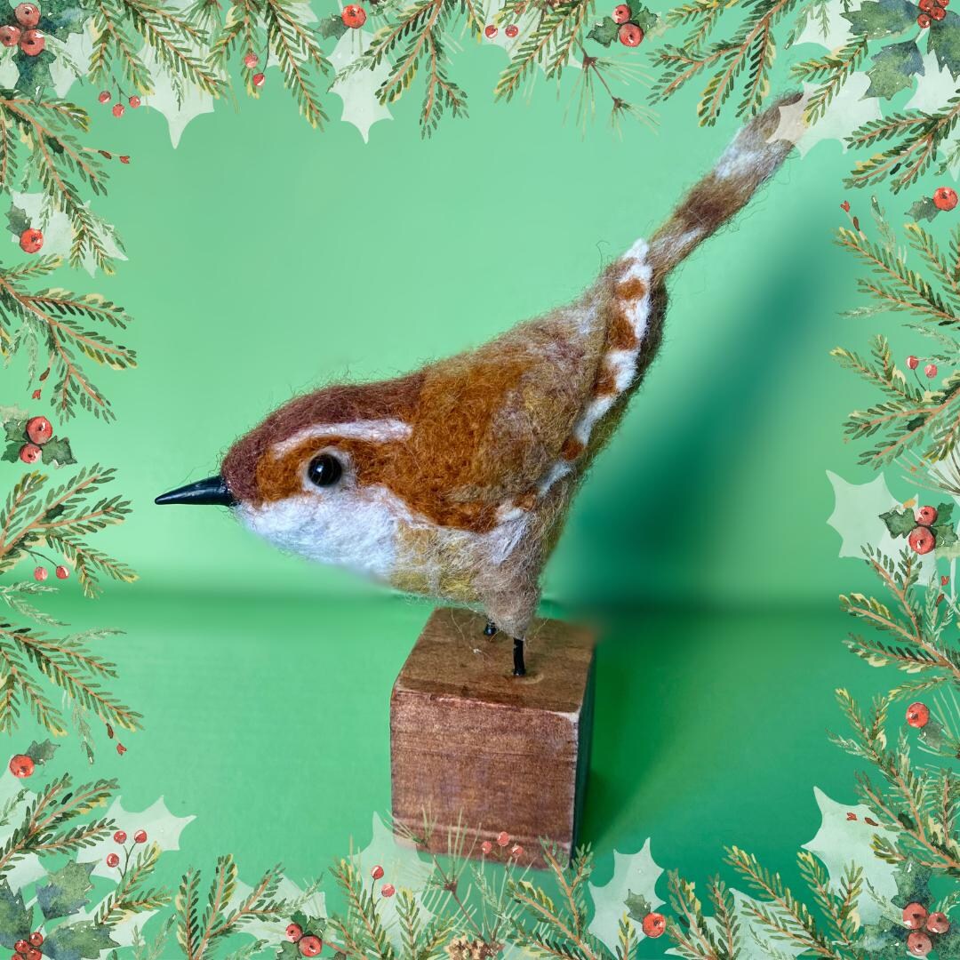 Felted Carolina Wren Mystery Bird Box! Carolina Wren Perched on Wooden ...