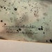 P7449: Vintage George LAMBERT Print 7 of 10 Hand Pencil Signed - Etsy