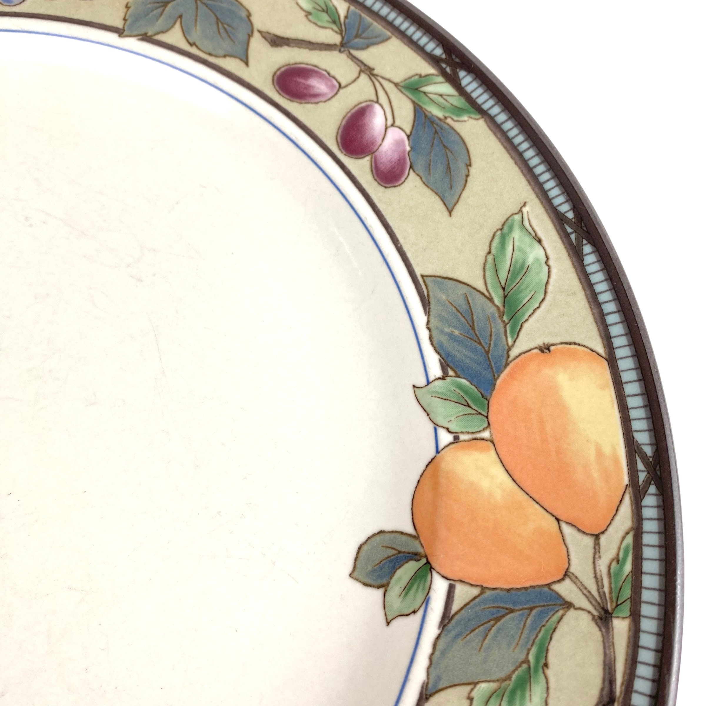 Mikasa Intaglio Garden Harvest 11 Dinner Plates CAC29 Set of 4 - Etsy