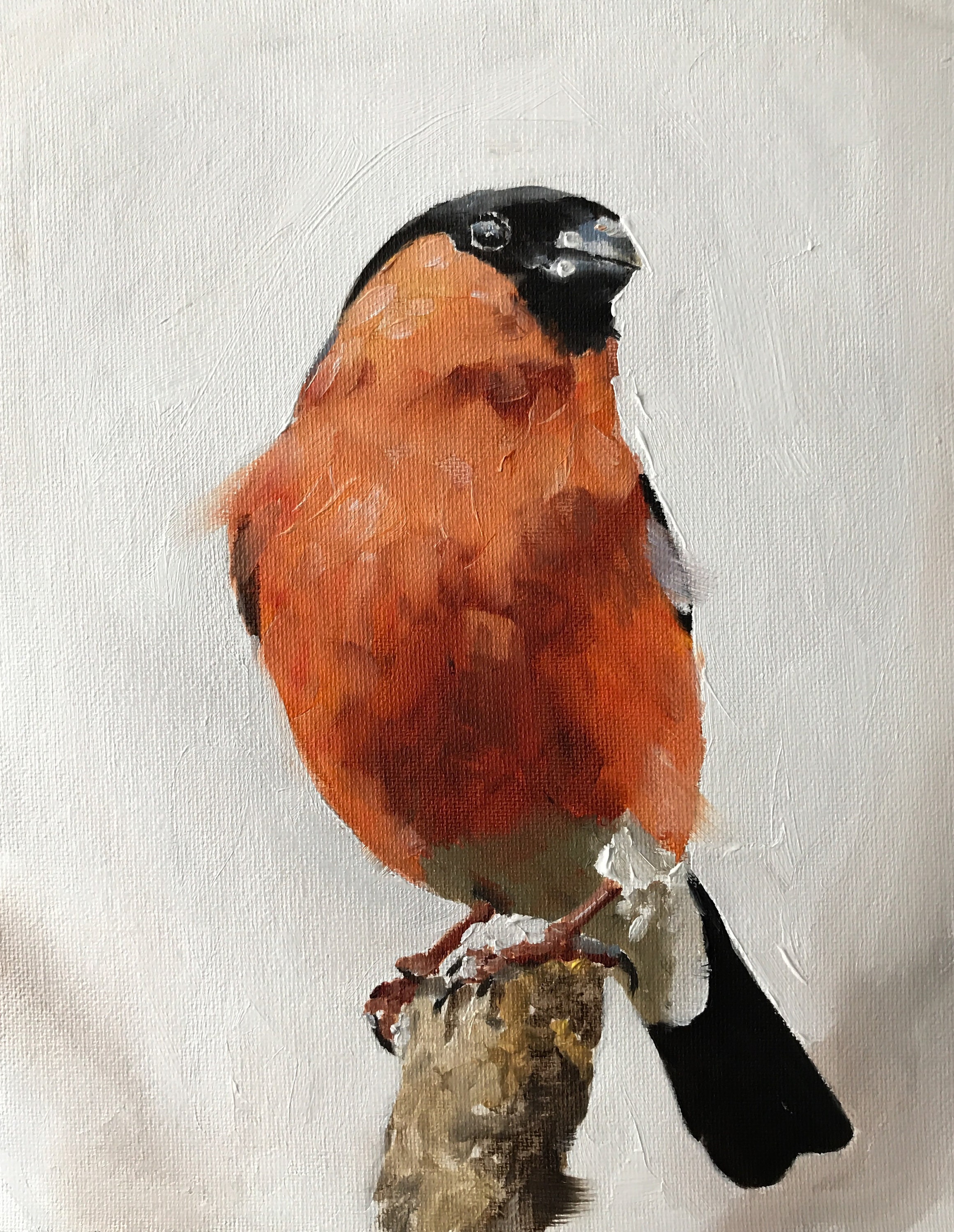 Bullfinch Bird Painting Poster Wall Art Canvas Print | Etsy