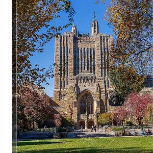 Yale University Library Autumn Canvas Art: Ivy League Alumni Gift - Etsy