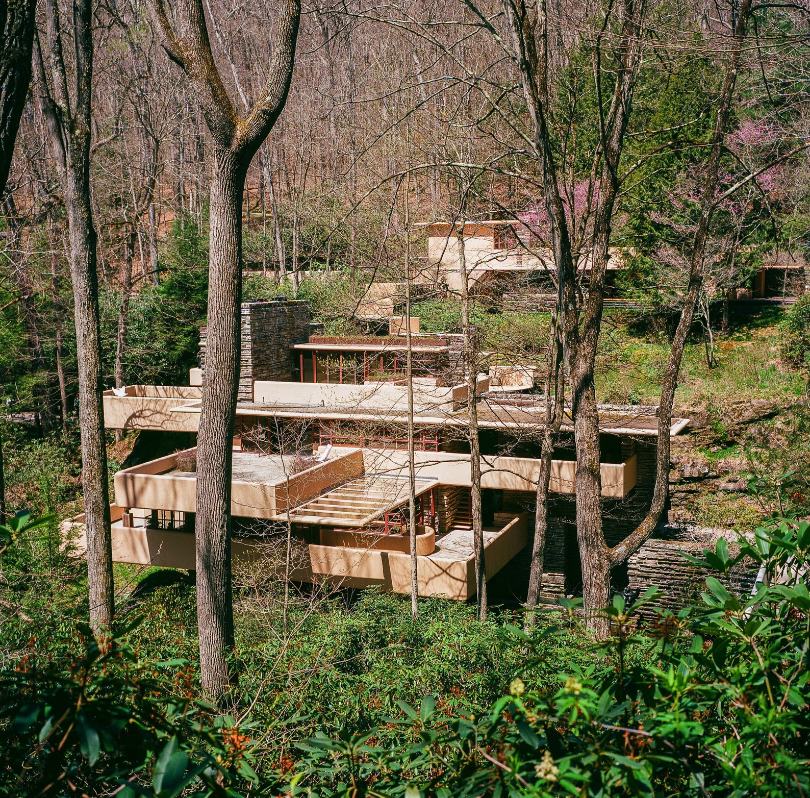 Fallingwater Art Print: Frank Lloyd Wright Architecture Decor - Etsy