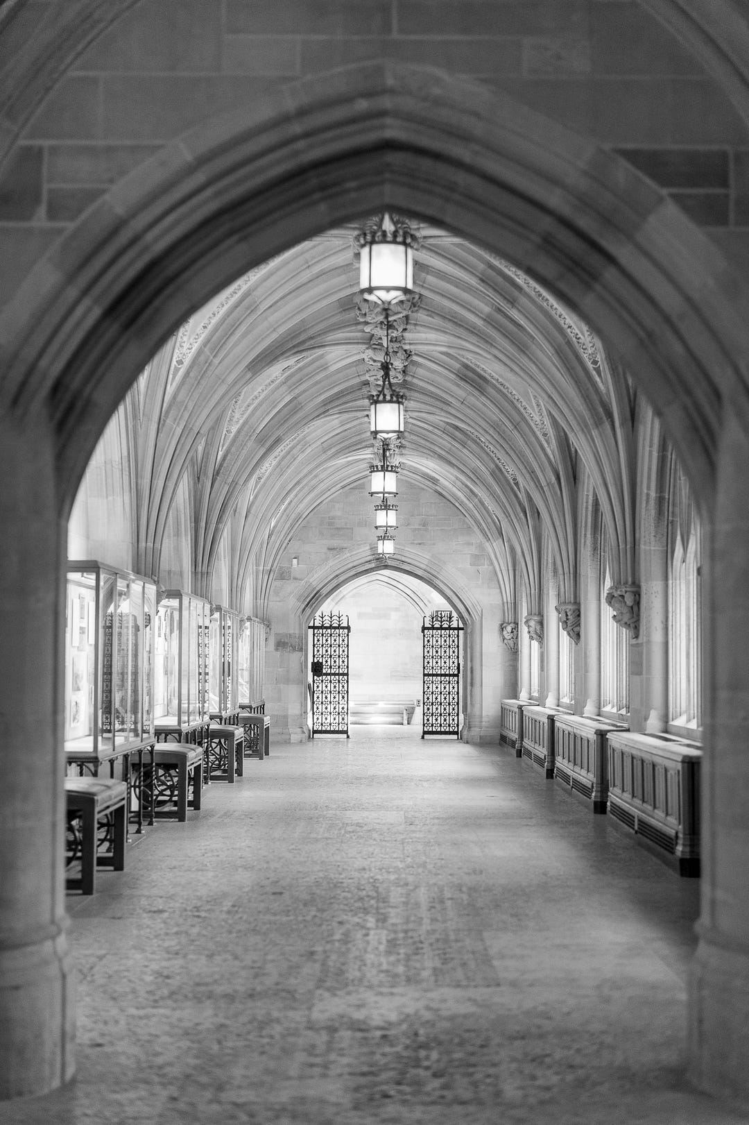 Yale University Wall Art, Yale University Library, Ivy League Decor ...