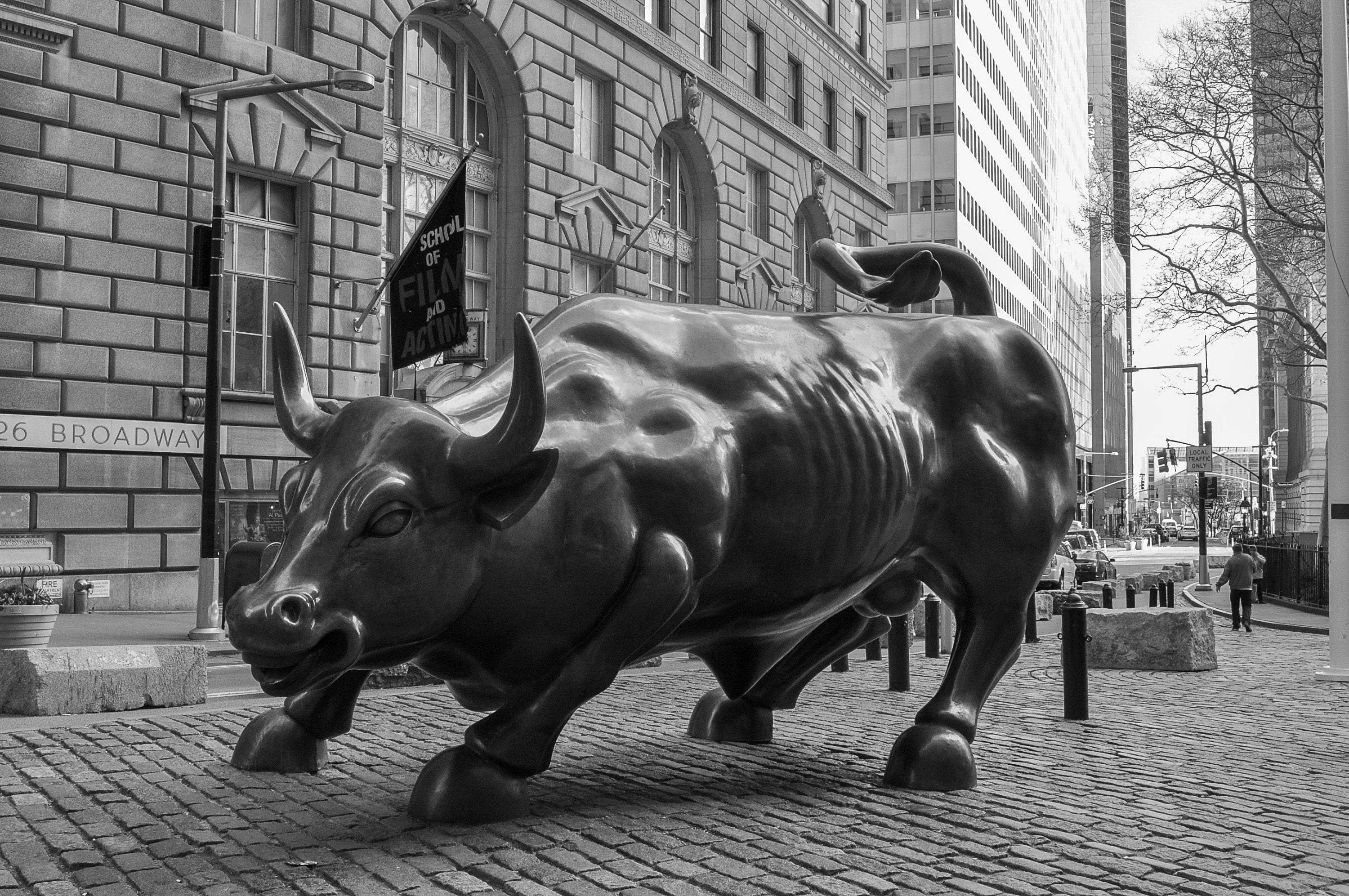 Wall Street Bull Statue Gift