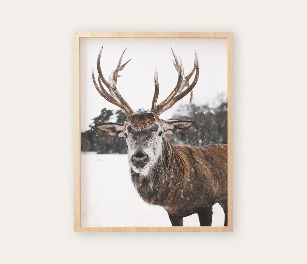INSTANT DOWNLOAD, Christmas Printables, Rudolf, Deer Print, Winter ...