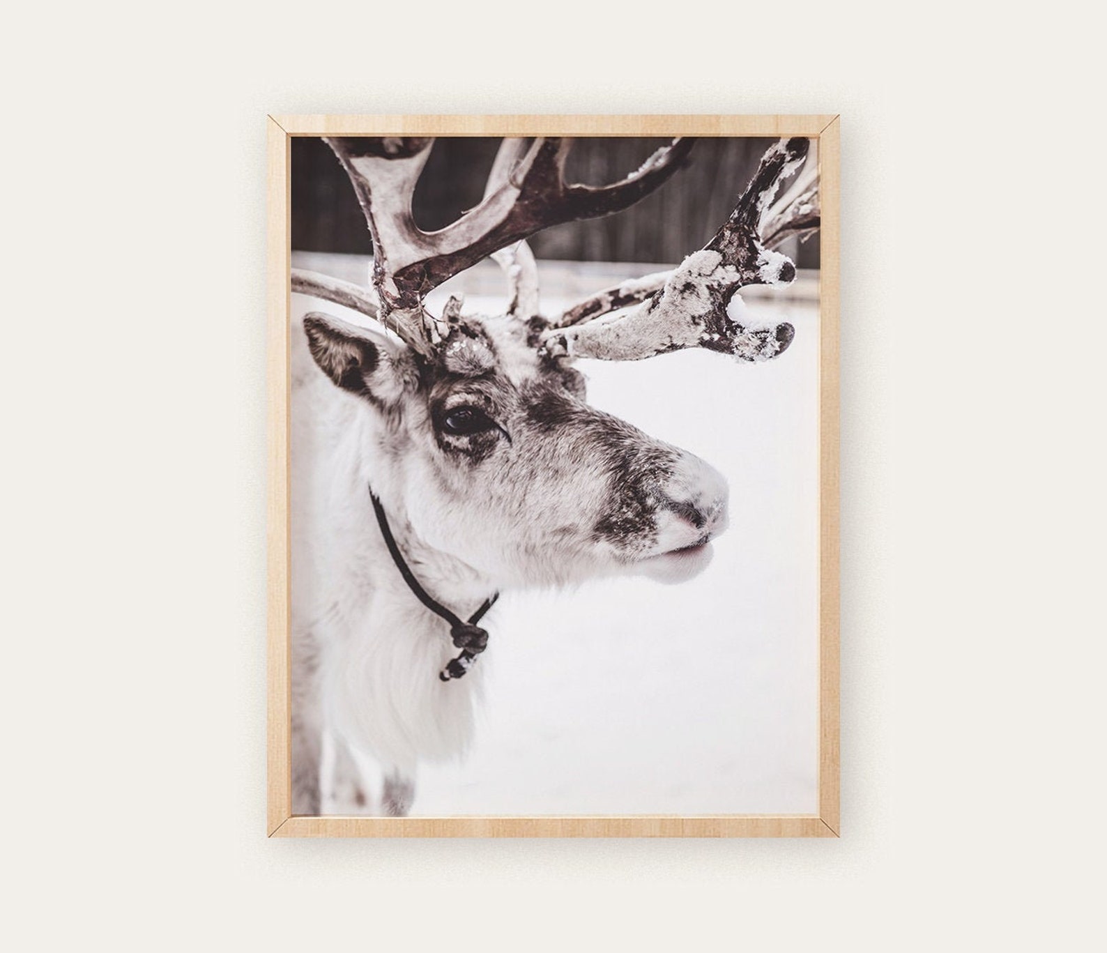 INSTANT DOWNLOAD, Christmas Printables, Rudolf, Moose Print, Deer Print ...