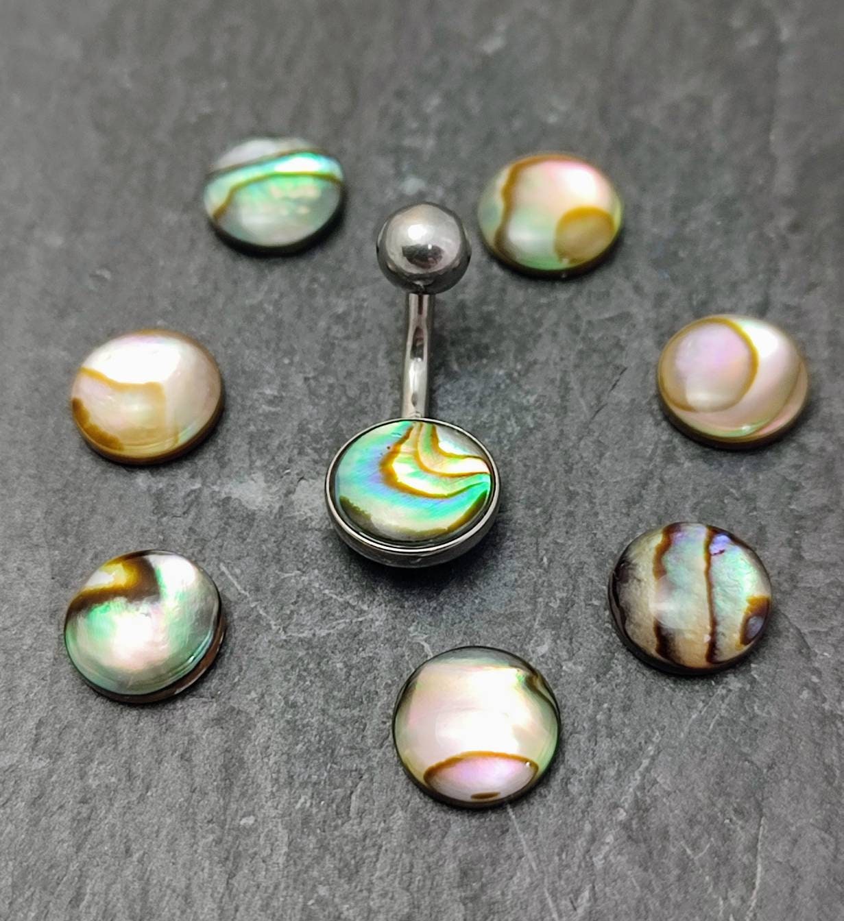 Paua Belly Bar 316L Steel 14 Gauge Abalone Belly Ring New Zealand | atelier-yuwa.ciao.jp