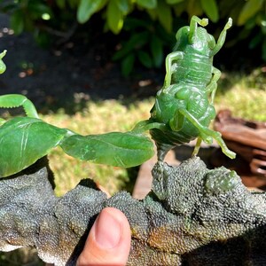 Jade Praying Mantis Carving (as Is) * 9.5" - Canadian Nephrite Jade - Etsy