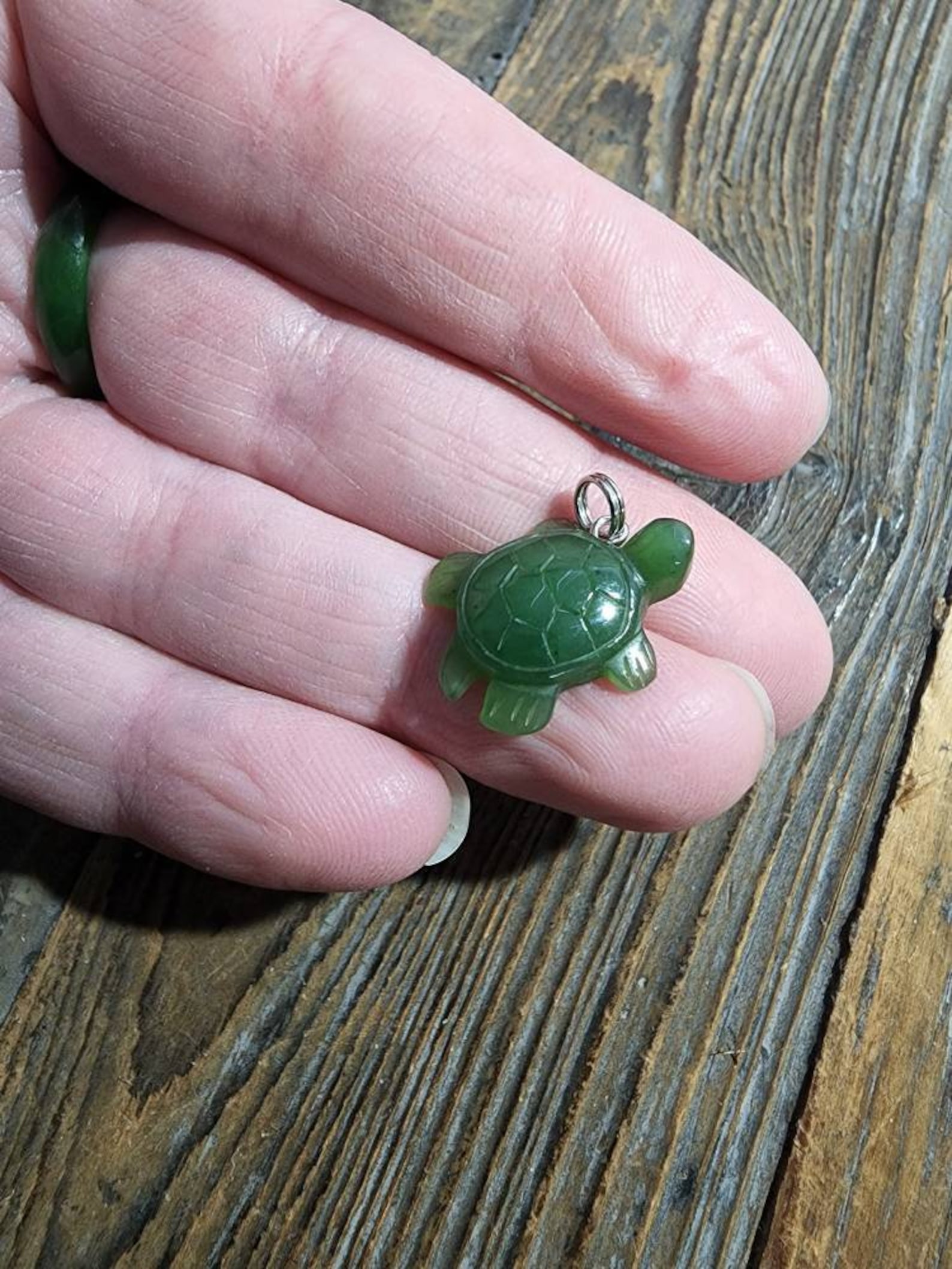 Jade Turtle Pendant Canadian Jade 20mm - Etsy