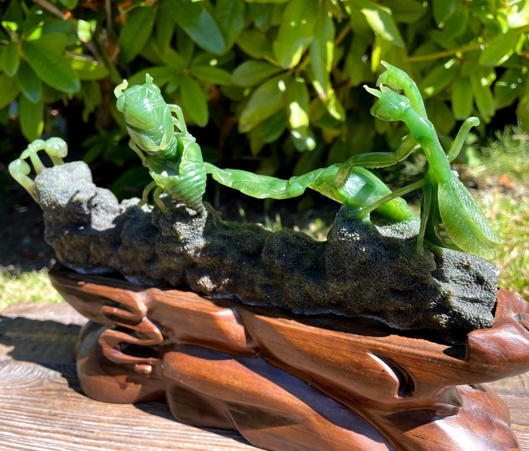 Jade Praying Mantis Carving (as Is) * 9.5" - Canadian Nephrite Jade - Etsy