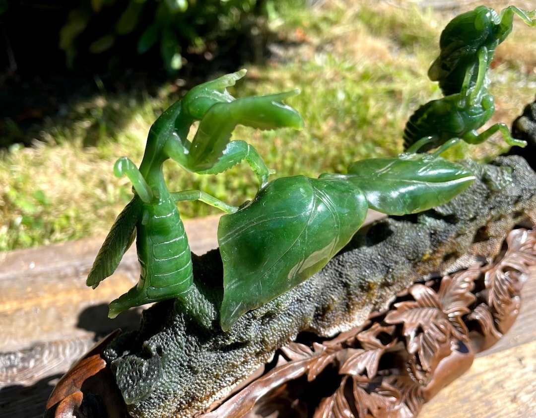 Jade Praying Mantis Carving as Is 9.5 Canadian Nephrite Jade - Etsy