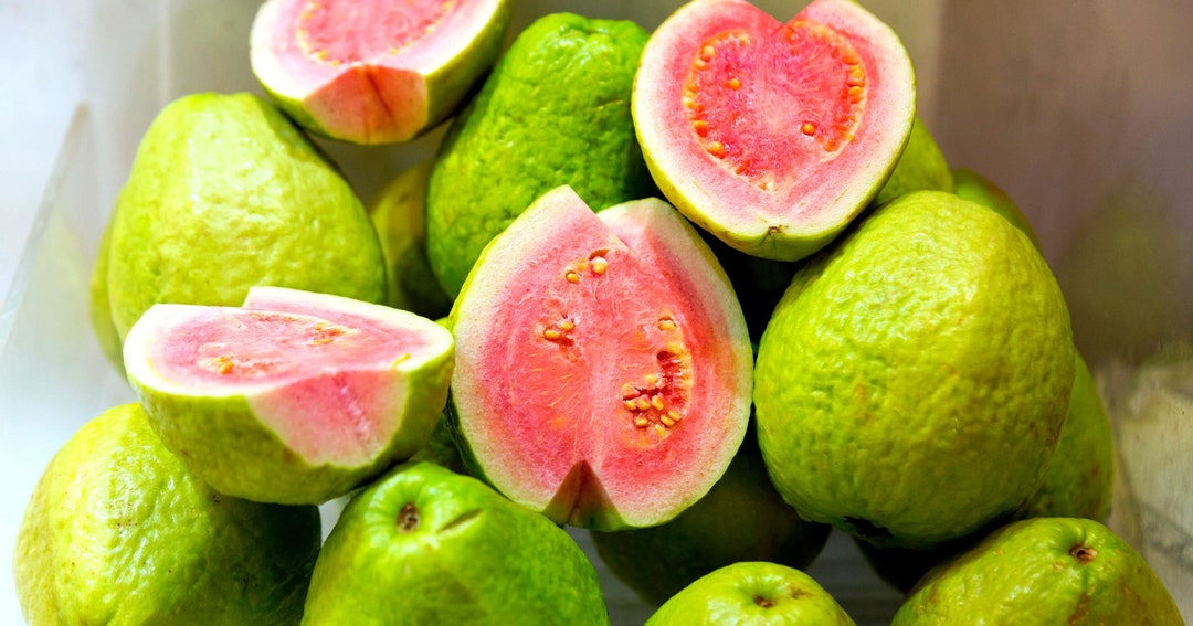 Hawaiian Guava Fruit Seeds 1 Pack - Etsy