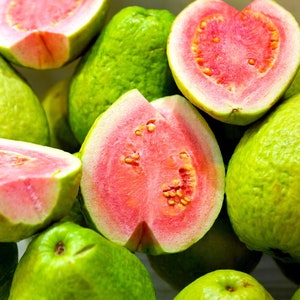 Hawaiian Guava Fruit Seeds - 1 Pack - Etsy