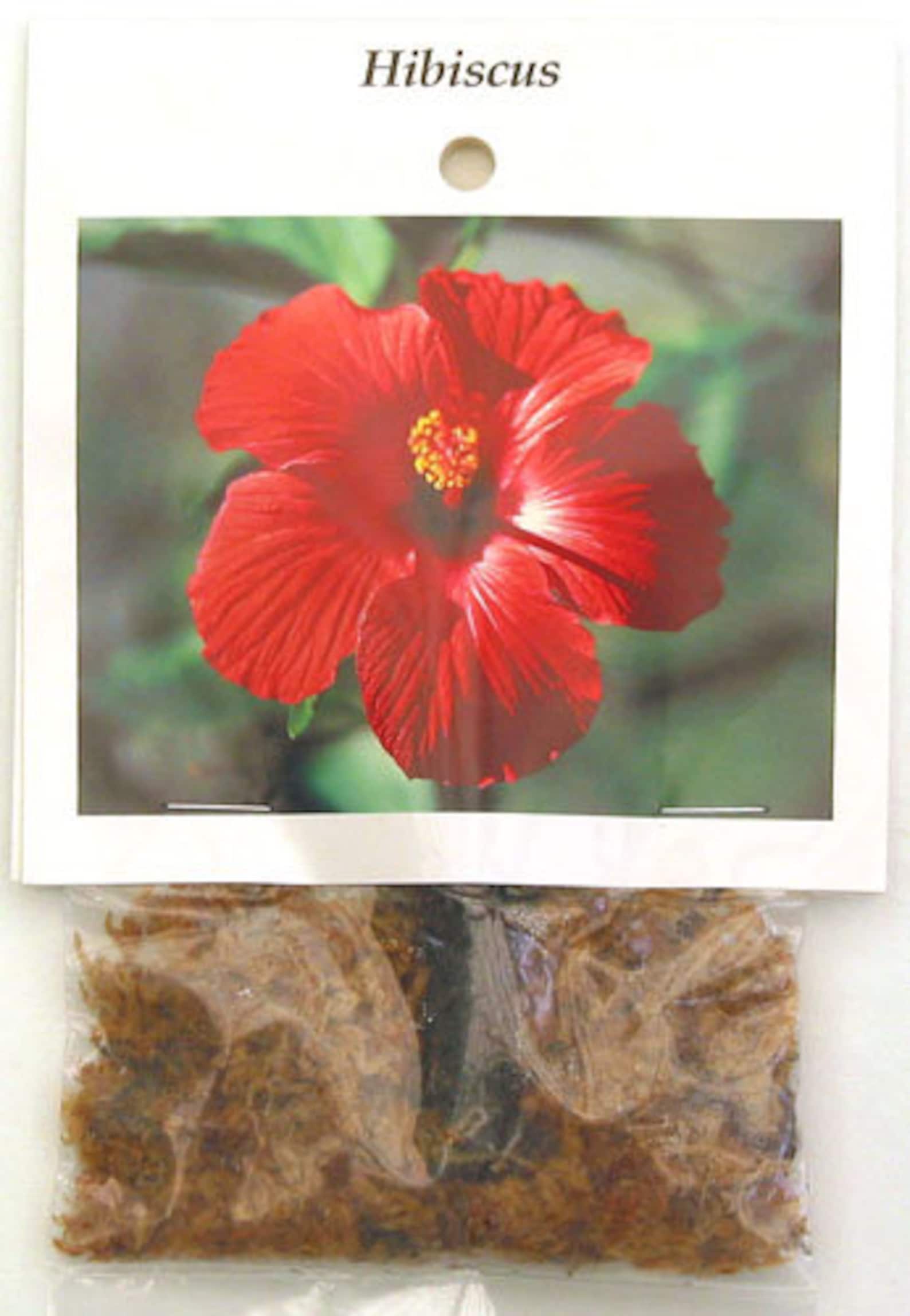 Hawaiian Red Hibiscus Cutting - 1 Pack - Etsy