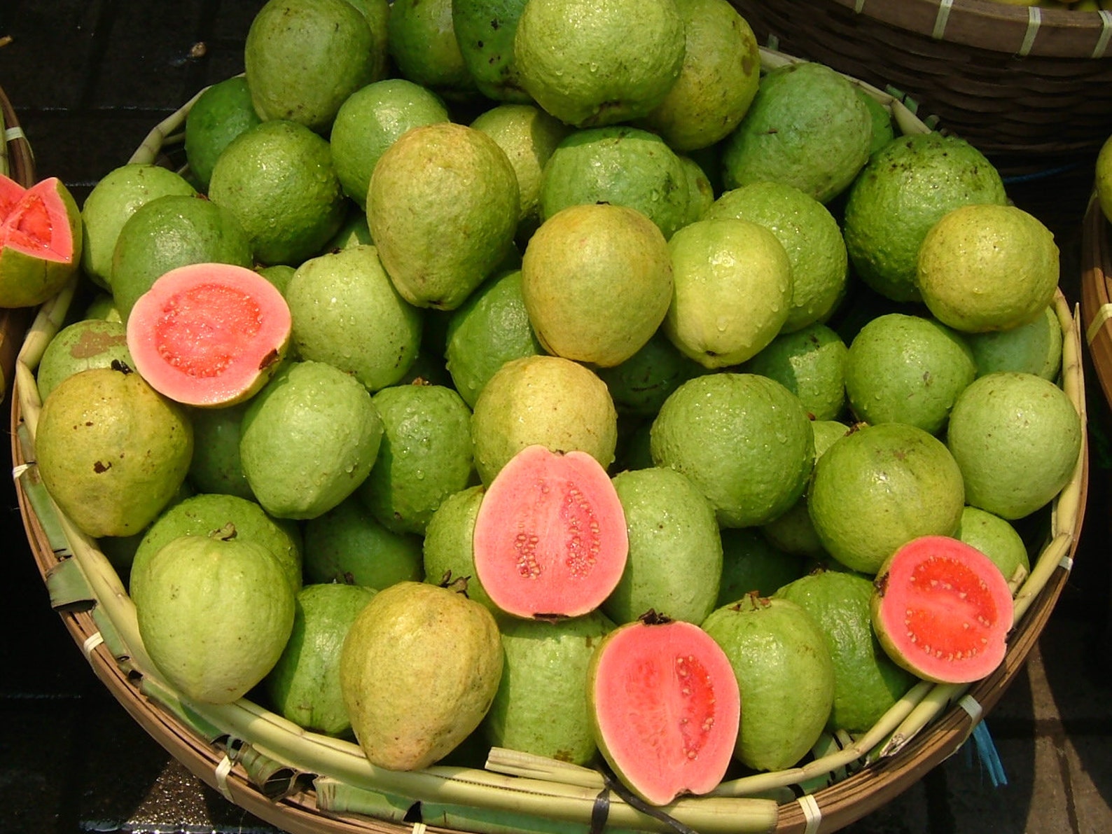 Hawaiian Guava Fruit Seeds - 1 Pack - Etsy