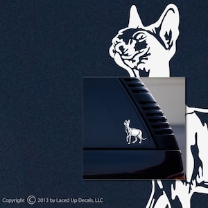 Sphynx Cat Vinyl Decal Small © 2013 Laced up Decals Sku:sphynx Cat ...