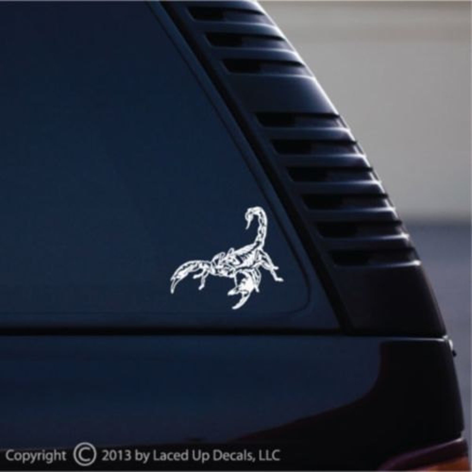 Scorpion White Vinyl Decal Sm © 2013 Laced up Decals - Etsy