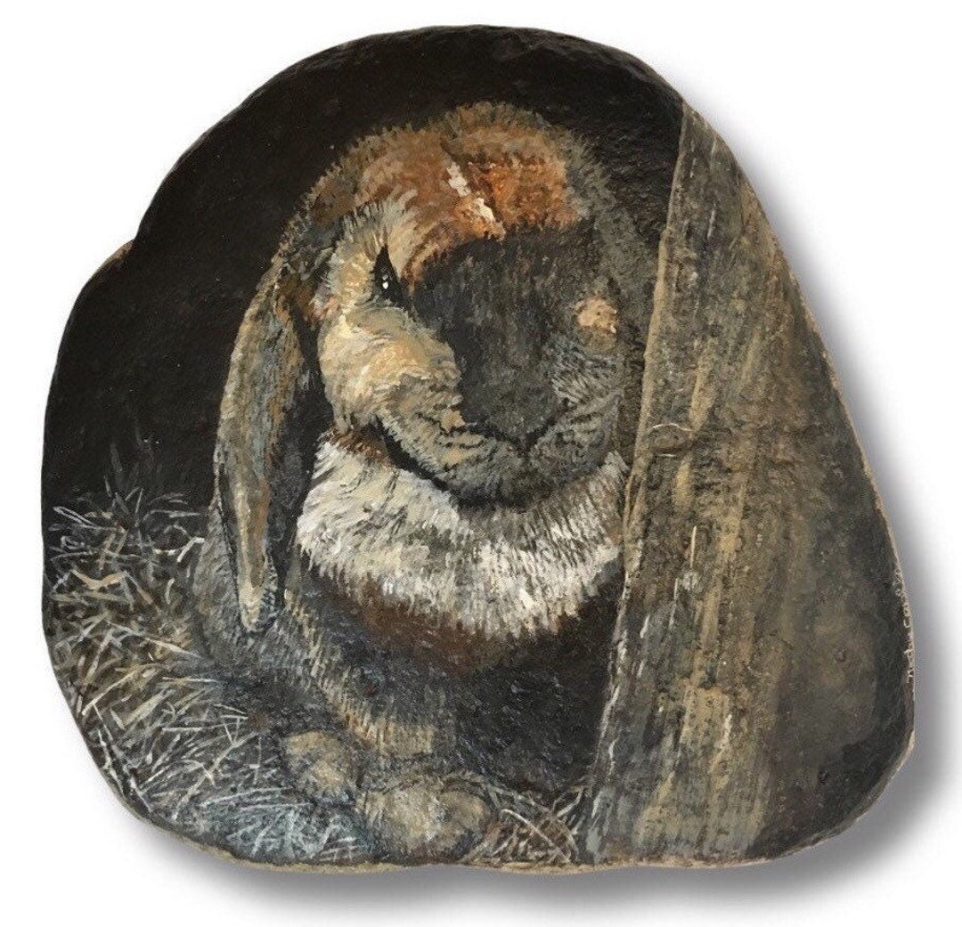 Rabbit Painted Rock, Wildlife Art Stone, Wild Bunny Painted on Stone ...