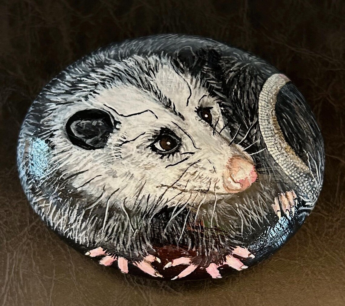 Beautiful Opossum Painted Rock, in Stock Ready to Ship, 4” Round ...