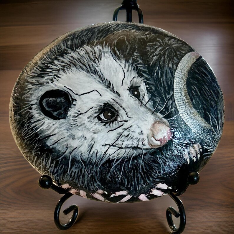 Beautiful Opossum Painted Rock, in Stock Ready to Ship, 4” Round ...