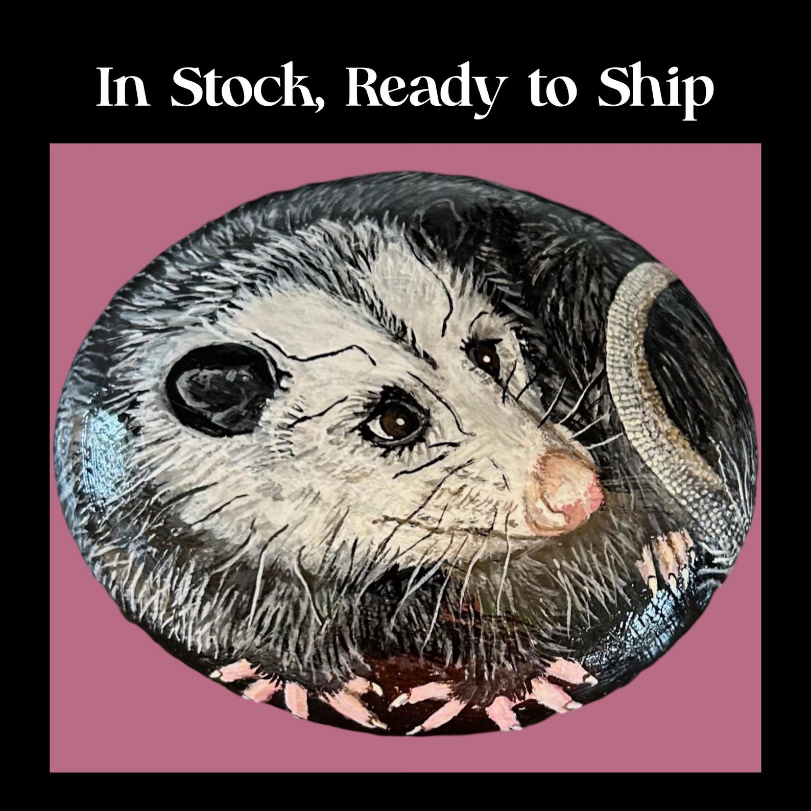 Beautiful Opossum Painted Rock, in Stock Ready to Ship, 4” Round ...