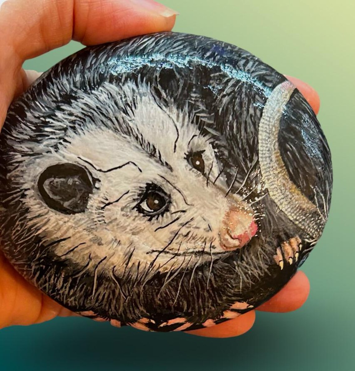Beautiful Opossum Painted Rock, in Stock Ready to Ship, 4” Round ...