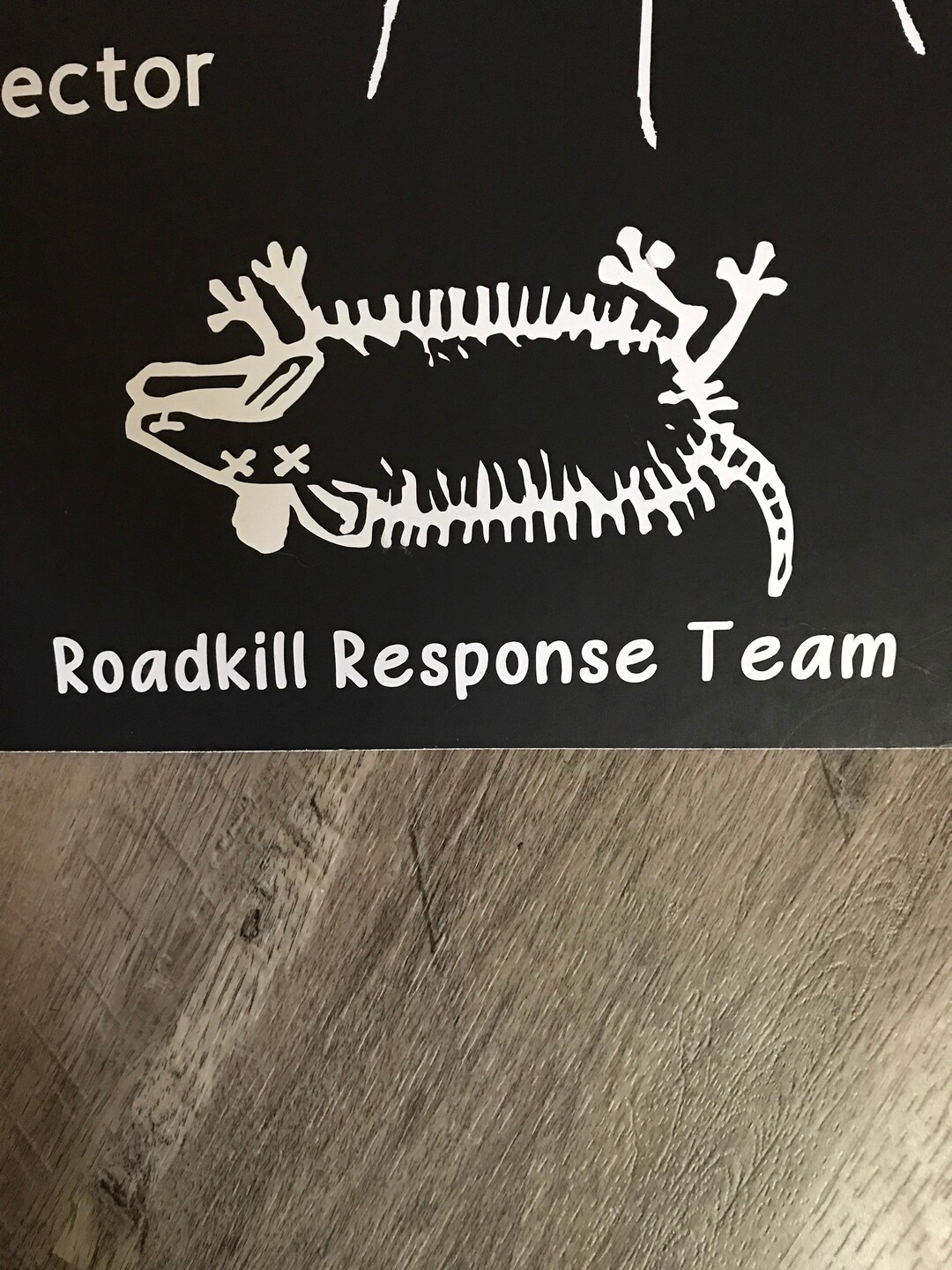 Roadkill Response Team Decal - Etsy