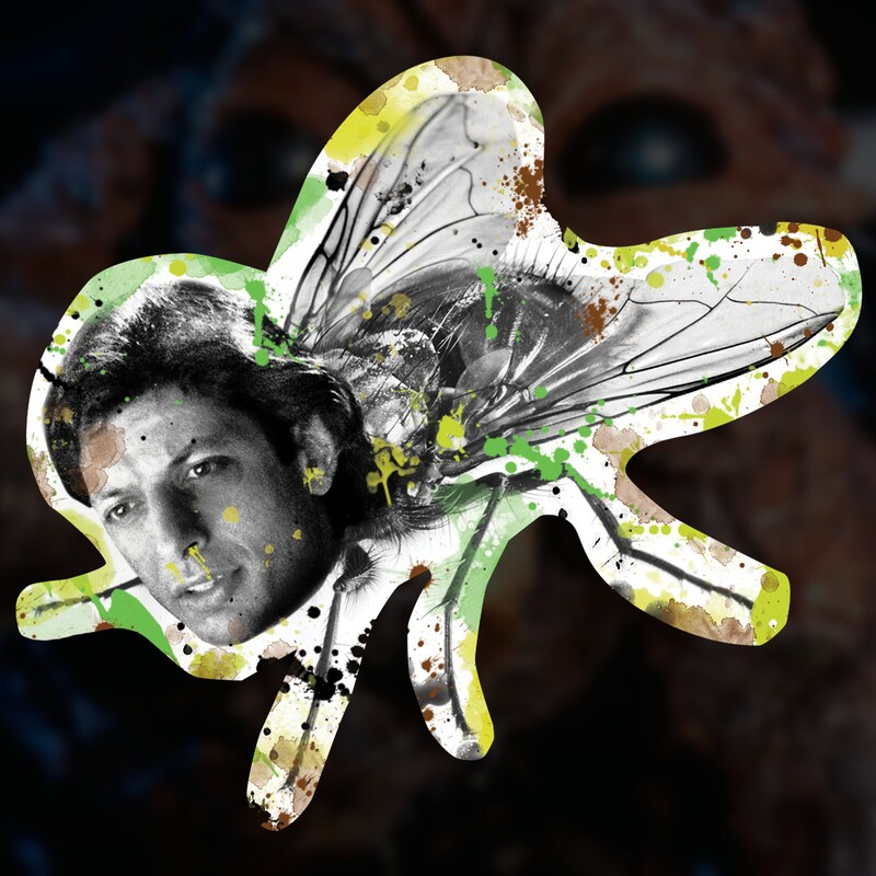 The Fly 3 Movie - Etsy