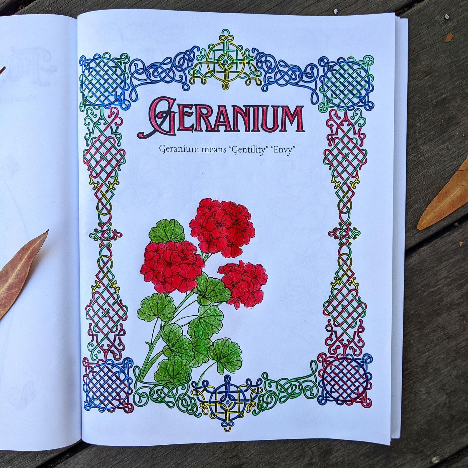 The Language of Flowers Adult Coloring Book: Over 31 Beautiful Designs ...