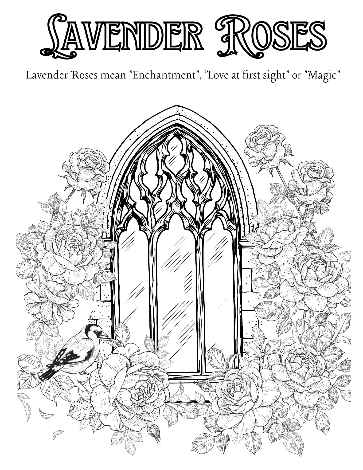 The Language of Roses Adult Coloring Book: 60 Plus Designs to Showcase ...