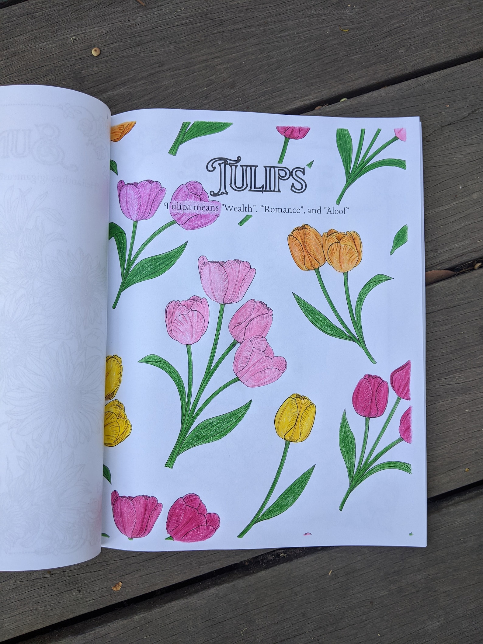 The Language of Flowers Adult Coloring Book: Over 31 Beautiful Designs ...