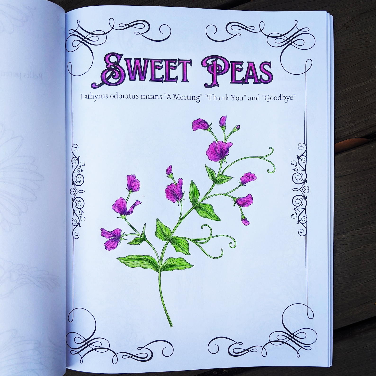 The Language of Flowers Adult Coloring Book: Over 31 Beautiful Designs ...