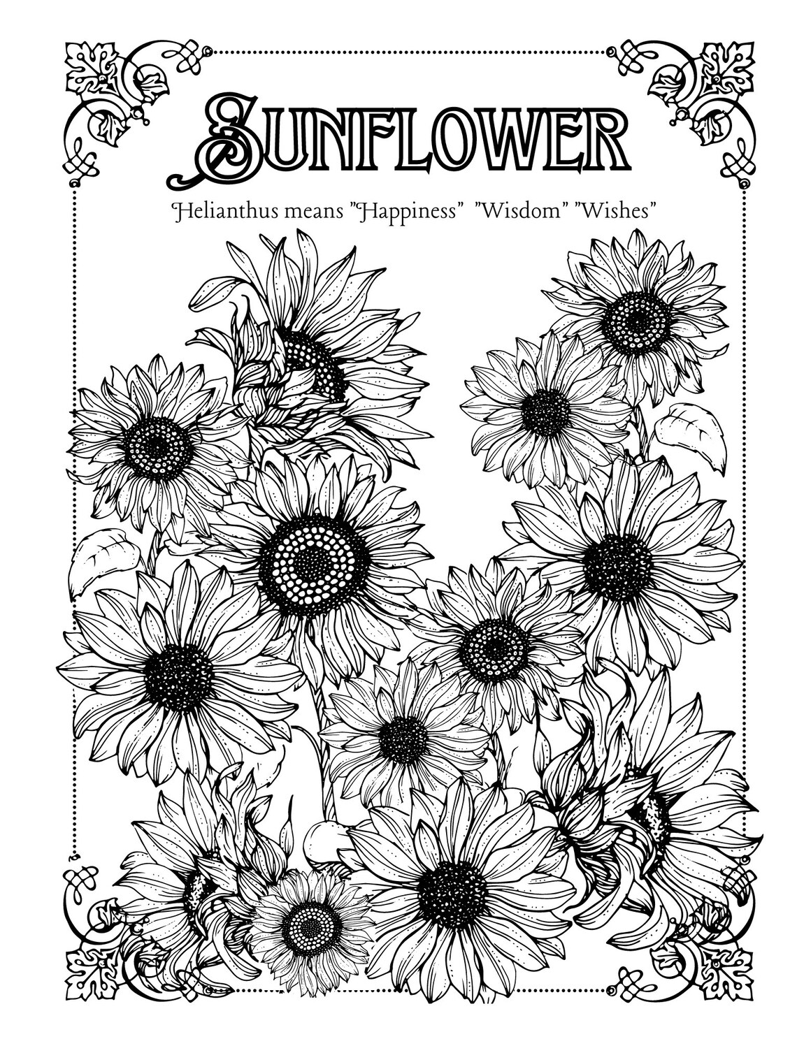 The Language of Flowers Adult Coloring Book: Over 31 Beautiful Designs ...