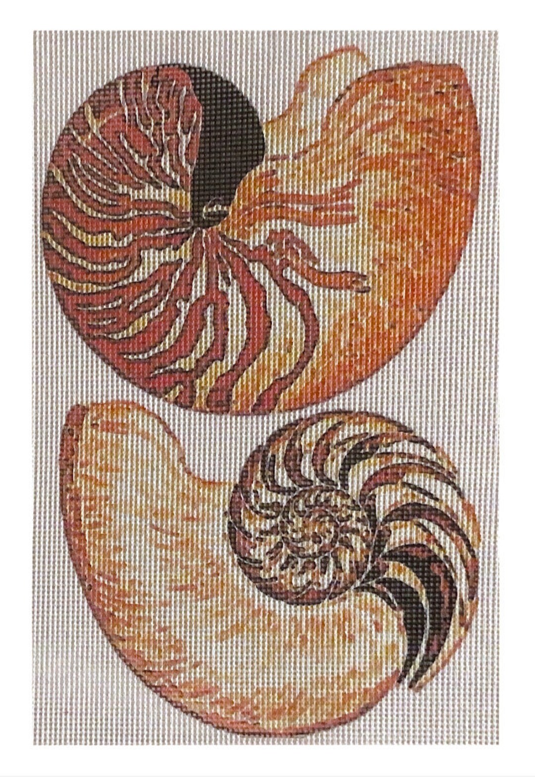 Needlepoint Canvas Seashell Collage no Threads - Etsy