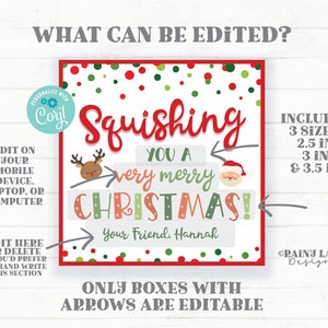 Squishing You a Merry Christmas Squishies Holiday Gift Squishy Toy ...