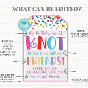 Knot Birthday Tag Friendship Bracelet Pretzel Hair Tie Scrunchie Party ...