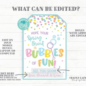 Hope Your Spring Break is Bubbles of Fun Tags Easter Spring School Gift ...