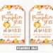 Pumpkin Spice for Someone Nice, Pumpkin Gift Tag, Homemade Pumpkin ...