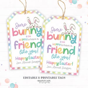 Editable Easter Bunny Tags, Spring Classroom Gift Tag, School Favor Tag ...