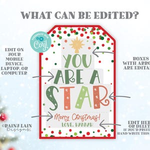 Editable You Are a Star Gift Tag Printable Christmas Appreciation ...