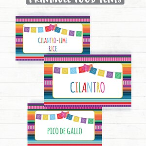 Fiesta Food Tents, Editable Food Cards, Food Signs Fiesta Food Labels ...
