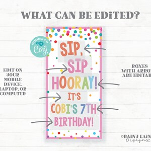 Silly Straw Favor Tags Sip Sip Hooray Birthday Favor Crazy Birthday ...
