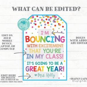 I'm Bouncing With Excitement You're in My Class Going to Be Great Year ...