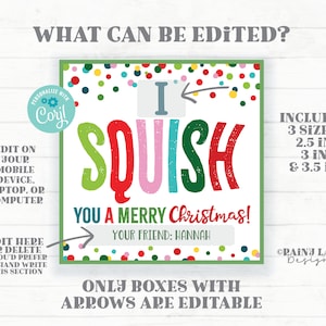Squish You a Merry Christmas Squishies Christmas Gift Holiday Printable ...
