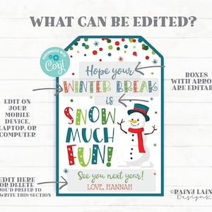 Hope Your Winter Break is Snow Much Fun Tag From Teacher Holiday Gift ...