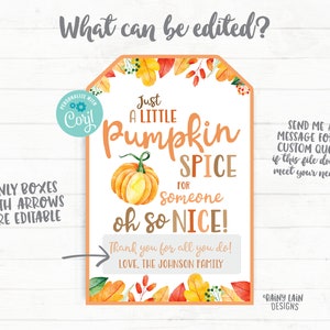 Pumpkin Spice for Someone Nice, Pumpkin Gift Tag, Homemade Pumpkin ...