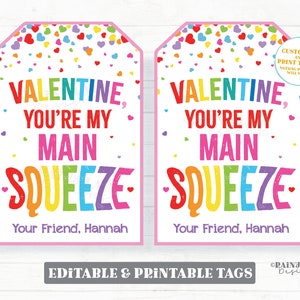 You're My Main Squeeze Valentine, Squishies Valentine, Squishy Toy ...