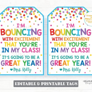 I'm Bouncing With Excitement You're in My Class Going to Be Great Year ...